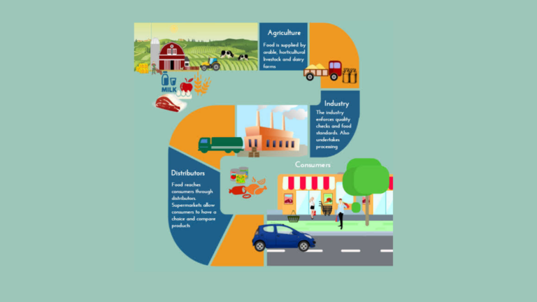 Project – Public Systems Lab